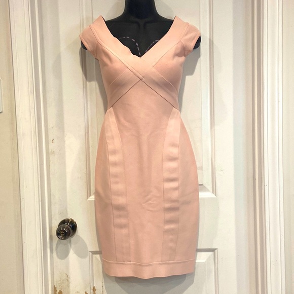 Herve L. Leroux | Dresses | Herve L Leroux Paris Designer Pale Pink ...